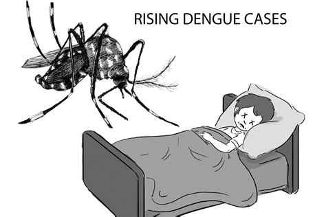 Dengue Cases Journalnews