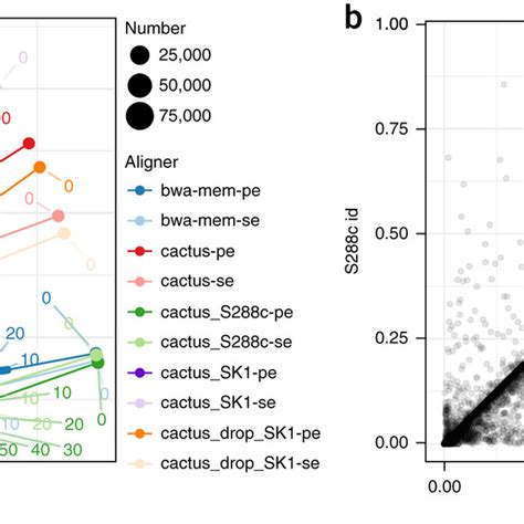 Mapping Short And Long Reads With Vg To Yeast Genome References A Roc Download Scientific
