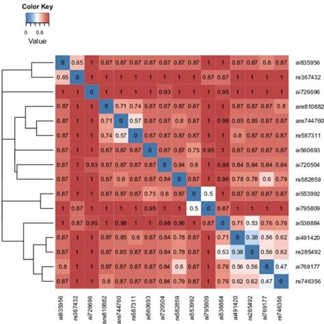 Heatmap Illustrating Clusters Formation From Lawsuits Similarities