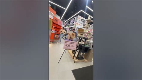 Наша задача разными схемами хайпануть💪🏻ОФОРМИТЕ ПОДПИСКУ НА ТГ ️ Youtube