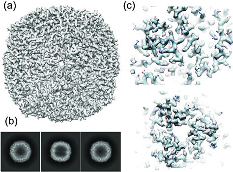 Final Apoferritin 3d Reconstruction Contoured At 25 σ A Isosurface