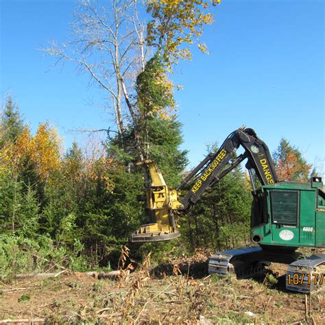 Logging