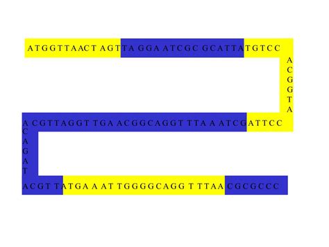 PPT A C G G T A PowerPoint Presentation Free Download ID