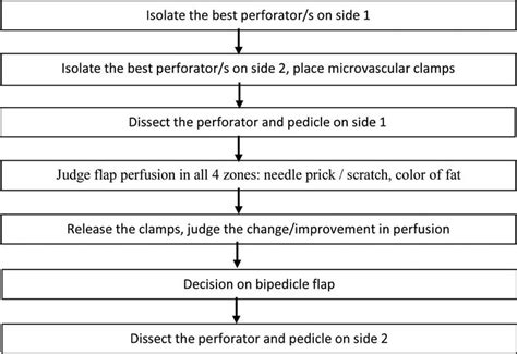 Steps To Assess The Perfusion Download Scientific Diagram