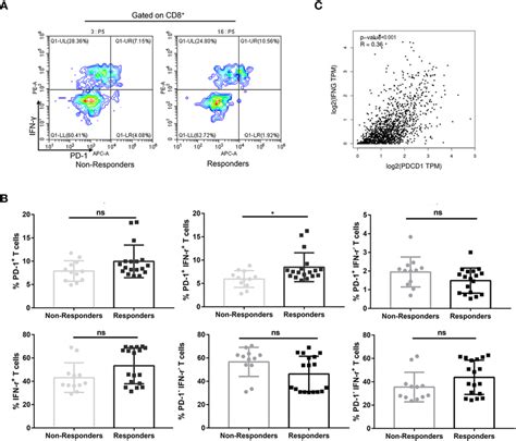 Percentages Of Pd 1⁺ Ifn γ⁺ Cell Of Cd8⁺ T Cells In Circulation Download Scientific Diagram