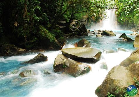 The Beauty Of The Rio Celeste Costa Rica In Tenorio National Park