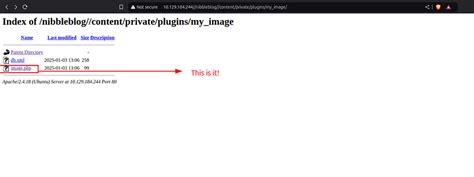 Htb Nibbles Walkthrough