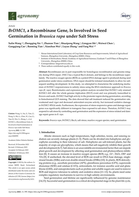Pdf Brdmc1 A Recombinase Gene Is Involved In Seed Germination In