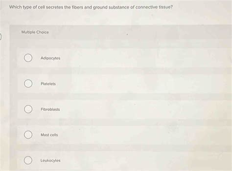 Solved Which Type Of Cell Secretes The Fibers And Ground Substance Of Connective Tissue