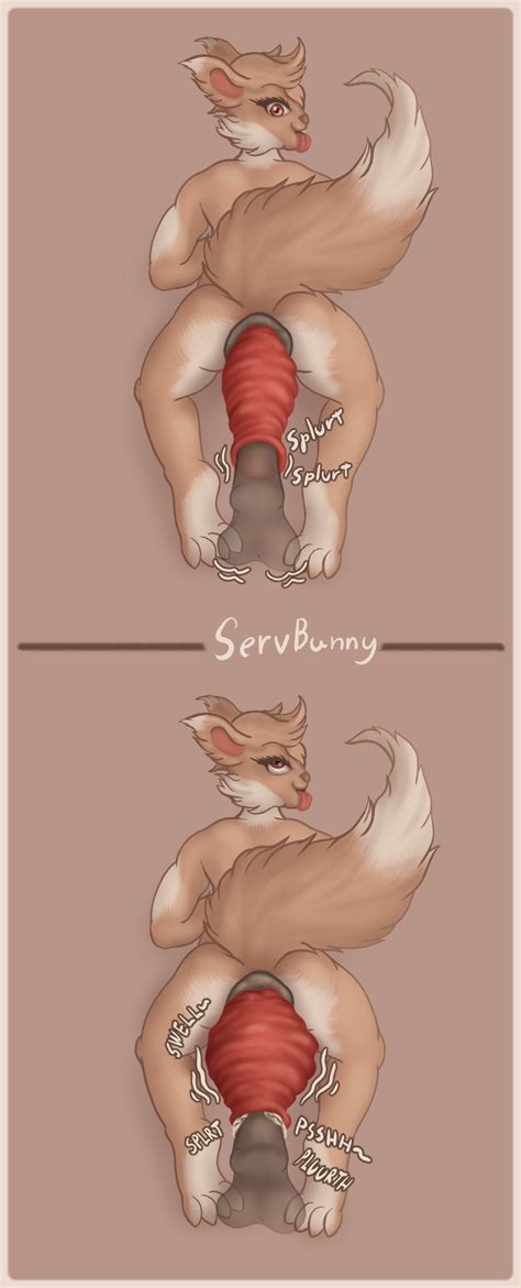 Rule 34 Absurd Res Anal Anal Prolapse Anthro Anus Big Anus Bodily