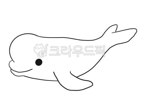 돌고래 벨루가 혹등고래 포유류 고래 사진이미지일러스트캘리그라피 Duitduit작가