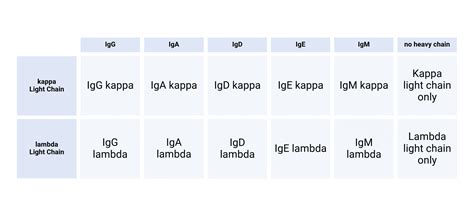 M Spike And Multiple Myeloma