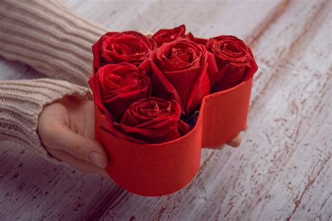 빨간 장미와 하트 모양의 상자를 들고 여성의 손의 낮은 각도 촬영 개념에 대한 스톡 사진 및 기타 이미지 개념 공유 개념 당신을 사랑합니다 Istock