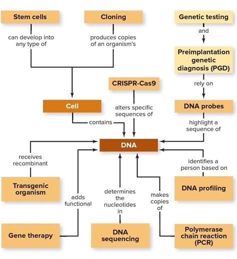 Pull It Together Dna Technology ‼️ Hanaa Fayed