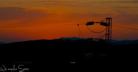 배경 화면 경치 가을 사람들 화이트 검은 늙은 모델 초상화 일몰 바다 꽃들 정원 시티 거리 밤