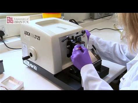 Revolutionizing Histology Education At Bristol The Virtual Microscope