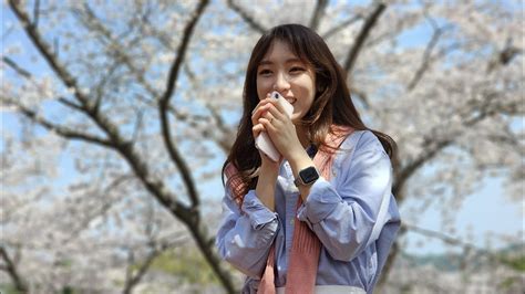 Vlog 진양호 벚꽃 브이로그 Youtube