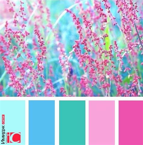 Very Girly Color Schemes Colour Palettes Colour Pallette Color Palate Color Trends Color