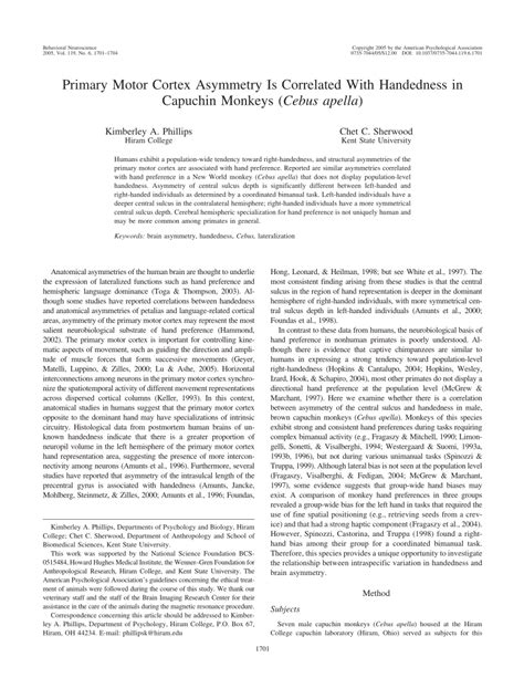Pdf Primary Motor Cortex Asymmetry Is Correlated With Handedness In