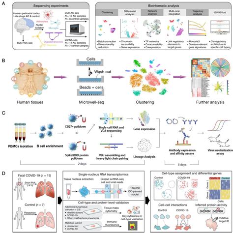 Application Of Microfluidic Single‐cell Sequencing In Neuroscience Download Scientific Diagram