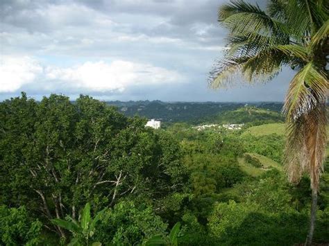 Casona Bella Vista Updated 2018 Guest House Reviews Ciales Puerto