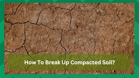 How To Break Up Compacted Soil Is It Possible Farmer Grows