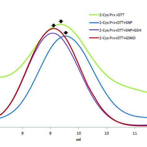 Elution Profile After Size Exclusion Chromatography Through