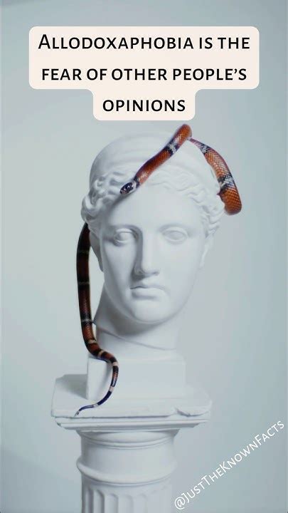 Allodoxaphobia Is The Fear Of Other Peoples Opinions Facts Youtube