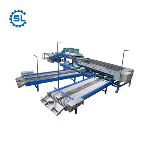 Jujube Sorting Grading Machine Washing Waxing Machine Fruit Sorting
