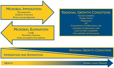 The Respiratory Microbiome Microbiomes Health And The Environment