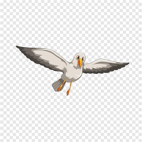 갈매기 새 만화 그림 비행 갈매기 Png 다운로드 프리미엄 벡터