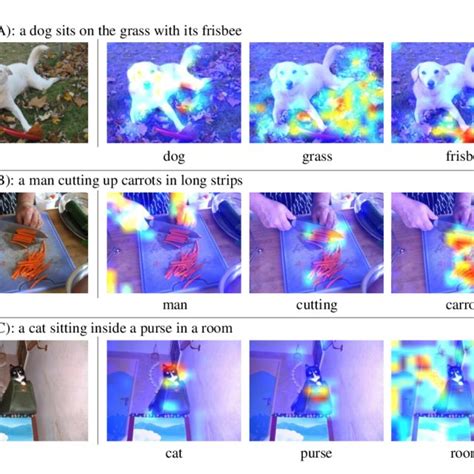 Visualization Of Attention Regions Extracted From The First Transformer Download Scientific