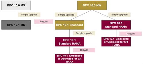 Sap Bpc 100 Vs 101 Cpmview