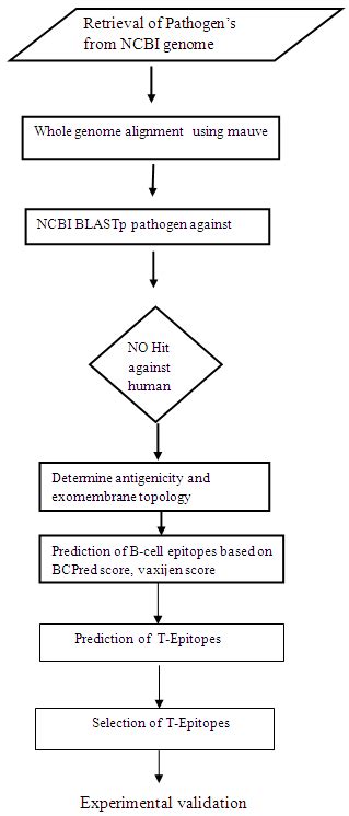 Comparative Genomic Workflow Download Scientific Diagram