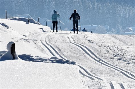 오스트리아 어퍼 남쪽의 겨울 원더랜드 고사우는 크로스컨트리 스키의 천국입니다 2명에 대한 스톡 사진 및 기타 이미지 2명 European Capital Of