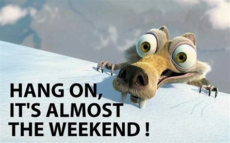 The Weekend Finally Friday Weekend Meme Morning Coffee Funny