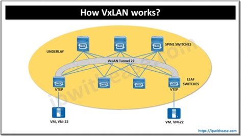 Vlan Vs Vxlan Detailed Comparison Ip With Ease