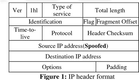 Figure 1 From Survey On Various Ip Spoofing Detection Techniques Semantic Scholar