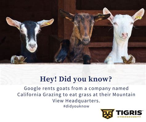 Tigris Cybersecurity On Linkedin Did You Know