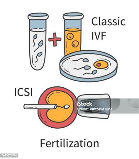 시험관 내 수정 Ivf 및 세포질 내 정자 주입 Icsi 시험관 수정에 대한 스톡 벡터 아트 및 기타 이미지 시험관 수정 아이콘 인공수정 Istock