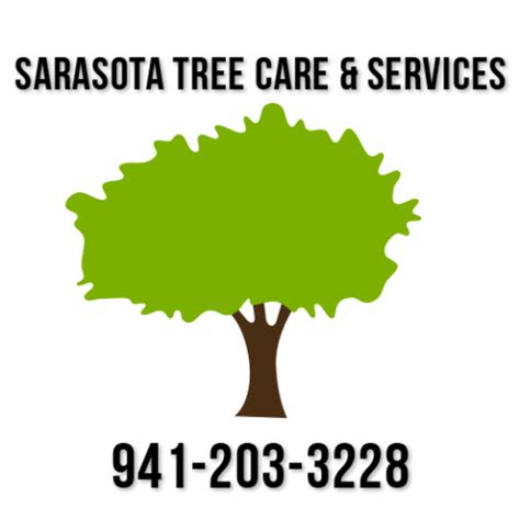 Sarasota Tree Care Services The DailyMoss