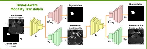 Figure 1 From Image Level Supervision And Self Training For Transformer Based Cross Modality