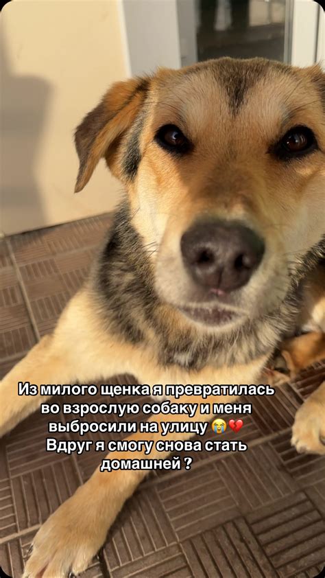 Полику хуже 💔😭 Вчера моча хоть как то отходила сегодня ее нет Камни которые были в почках