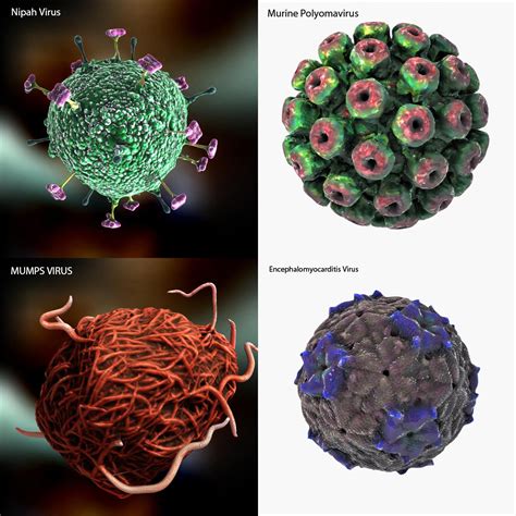 3d Virus Hiv Human Model