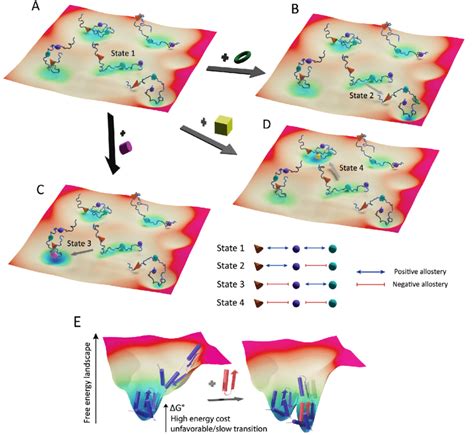 Multifaceted Allosteric Coupling Mediated By Idrs In Macromolecular