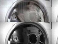 Naked Salma Hayek In The Velocity Of Gary