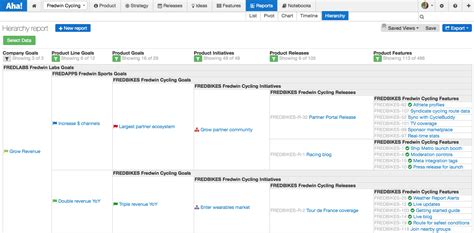 Just Launched — New Hierarchy Report To See Every Goal Initiative Release And Feature Aha
