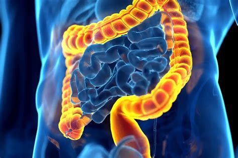 What Is Anal Cancer Dr Pushpak Chirmade