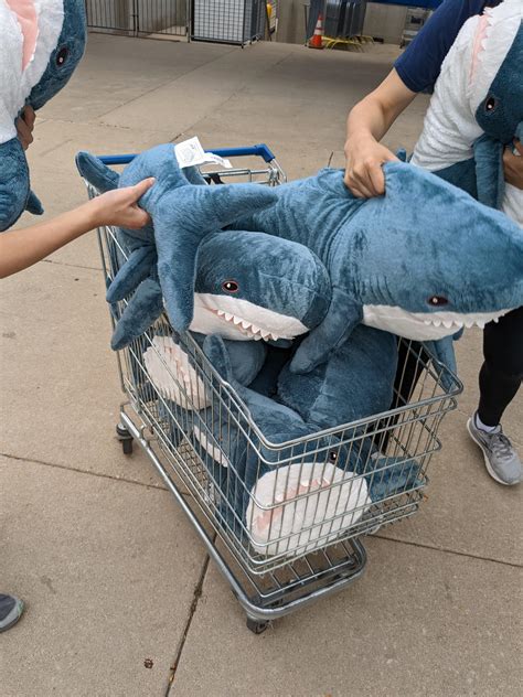 Update On My Blåhaj Run R Uiuc