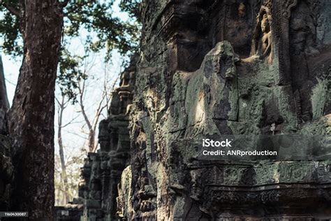 타 프롬 사원 앙코르 와트 단지 씨엠립 캄보디아에서 나무의 거대한 뿌리 아래 고대 크메르 어 건축 0명에 대한 스톡 사진 및 기타 이미지 Istock